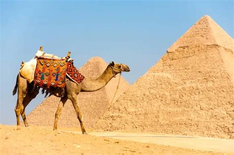 Egypt Classic Tours Unveiling Timeless Wonders