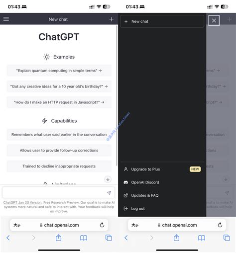 Chatgpt Plus 蓝点网