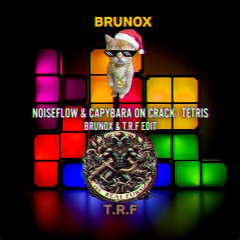 Stream Noiseflow And Capybara On Crack Tetris Brunox And T R F Edit By