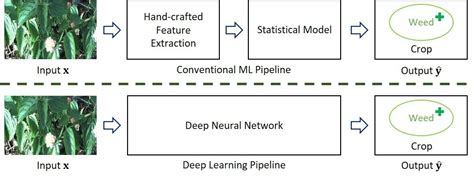 Deep Learning Techniques For In Crop Weed Identification A Review Deepai