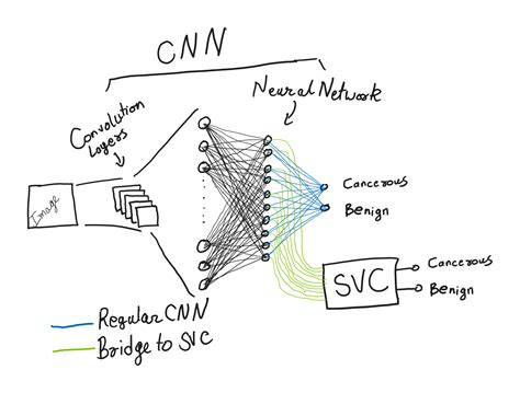Enhancing Cnns Using Svcs Robtaa