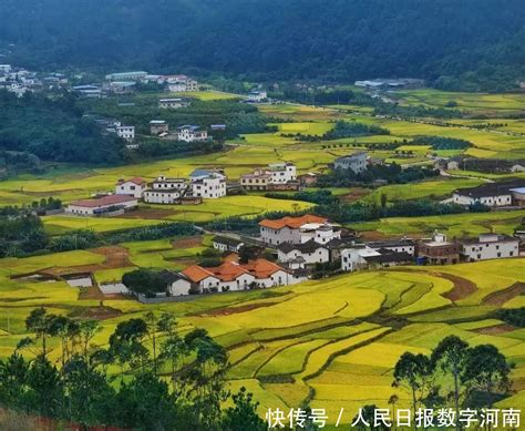 河南省乡村振兴战略规划乡村振兴战略规划ppt 随意云