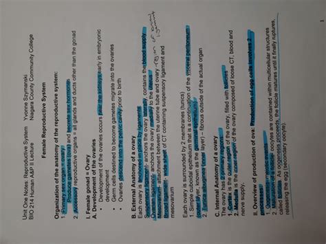 Male Reproductive Flashcards Quizlet