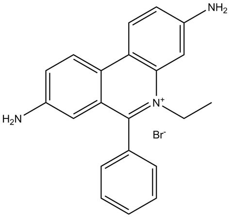 Ethidium Bromide Dna Staining Dye For Molecular Biology Apexbio