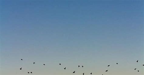 Wish I Had My Nms Ship To Quickly Go There Album On Imgur