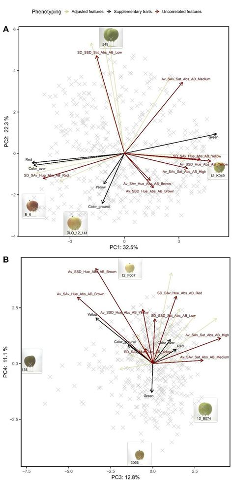 Principal Component Pc Analysis Of Highly Heritable Features For Download Scientific Diagram