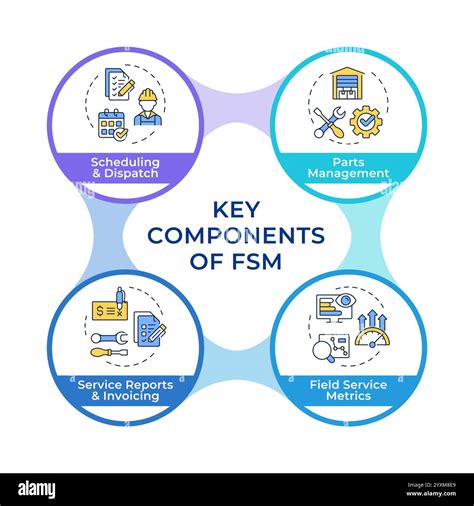 Key Components Of Fsm Infographic Circles Flowchart Stock Vector Image And Art Alamy