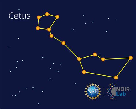 Cetus