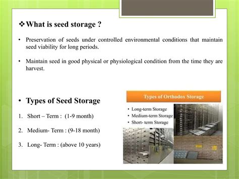 Seed Storage Types And Describe Factors Affecting Longevity Of Seed