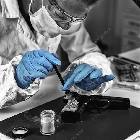 Forensic Science Laboratory Stock Image F024 4903 Science Photo Library