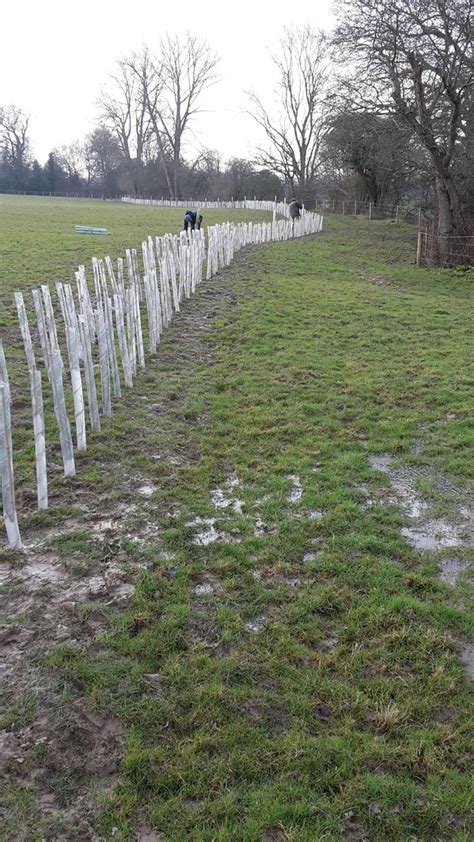 Trees For Flood Resilience