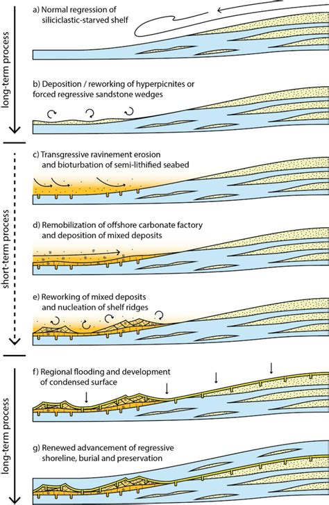 Proposed Evolutionary Model For The Development And Preservation Of