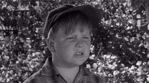 The Only Actors Still Alive From The Cast Of Leave It To Beaver 2022