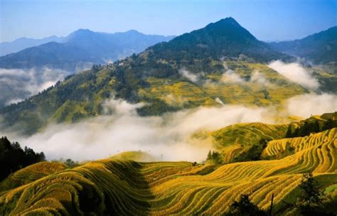 稻花香里说丰年 禾香深处有人家探秘占里侗寨 鼓楼 从江县 梯田