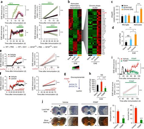 Regulation Of Astrocyte Activation By Glycolipids Drives Chronic CNS Inflammation Nature Medicine