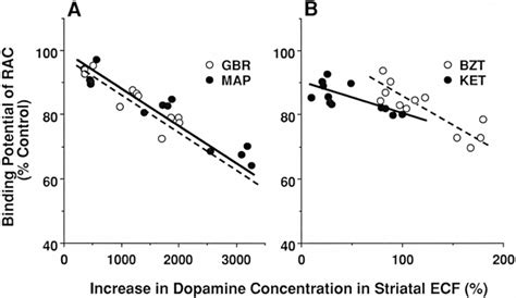 Relationship Between The Increase In Dopamine Concentration In The