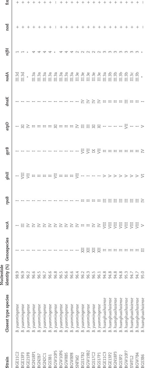 Taxonomic Affiliation Genospecies Groups And Nodulation Status Of