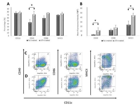 Investigation Of Surface Markers Of Mature Dendritic Cells On The Download Scientific Diagram