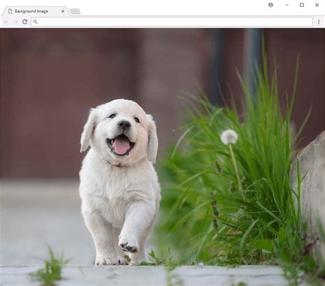 Backgrounds Css Tutorial
