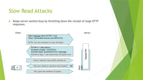 Web Resource Exhaustion Attacks Pptx