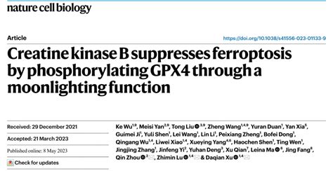 绘谱导读 「202305」益生菌代谢物抗癌“实锤”了，吲哚 3 乳酸可以通过两种代谢调控方式干预结直肠癌 肿瘤细胞 氨基酸代谢 非靶向代谢 脂质 多组学代谢流检测分析 脂肪酸定量 肠道微