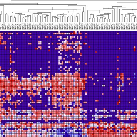 Heat Map Representing Hierarchical Clustering Of 63 Statistically
