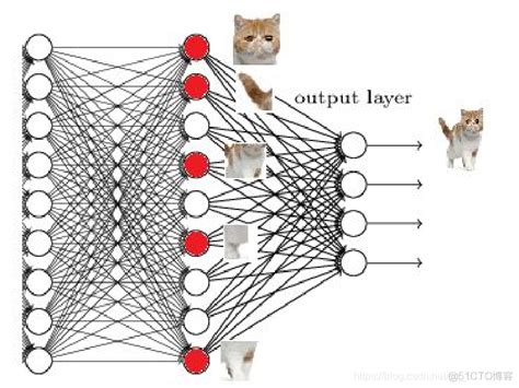 Pytorch 猫狗数据集 Pytorch猫狗分类mob6454cc6a249f的技术博客51cto博客