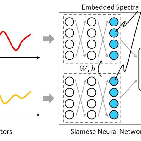 A Schematic Diagram Of The Siamese Architecture Used In This Paper Download Scientific Diagram