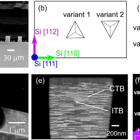 A Freestanding Ag Film With Fib Milled Pillars At The Edge Of Si Download Scientific Diagram
