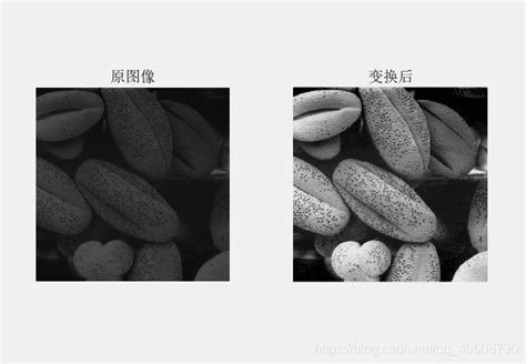 Matlab图像处理 同态滤波（代码及示例）同态滤波matlab代码 Csdn博客