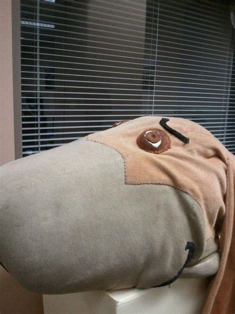 Laurie S Fall Blog Hub Where In The LRC Is Stevie Pointer