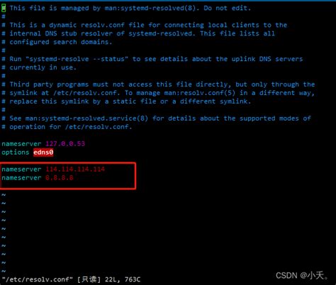 linux服务器域名解析失败解决 域名解析暂时失败 csdn博客
