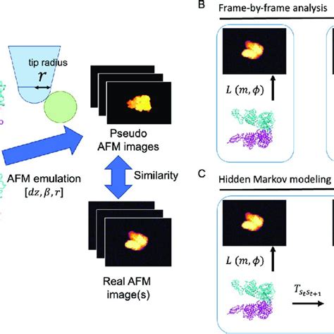 Scheme Of Analysis On Atomic Force Microscopy Images A Computation Download Scientific