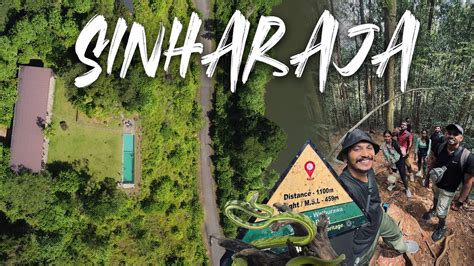 Sinharaja Rain Forest සිංහරාජ වනයේ සැගවුනු නිවහන Kalawana 𝗦𝗿𝗶 𝗟𝗮𝗻𝗸𝗮 𝗘𝗫𝗣𝗟𝗢𝗥𝗘 𝗪𝗜𝗧𝗛 𝗧𝗨𝗧𝗨