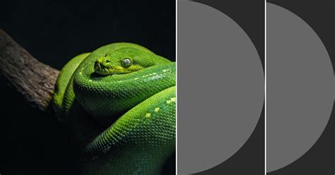 list sql curated by samarth singh medium