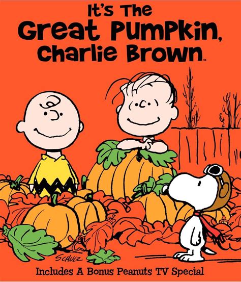 Funny Quotes Charlie Brown Quotesgram