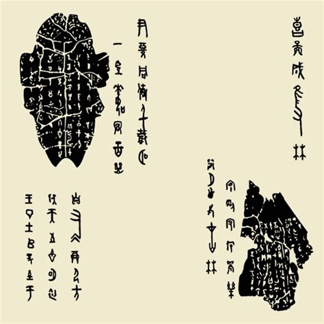 甲骨文素材 甲骨文图片模板下载 素材天下图库