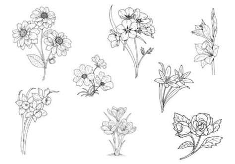 Hand Drawn Notebook Doodle Flower Vector Illustration Download Free Vector Art Stock Graphics