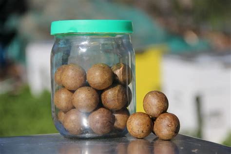 Зөгийн Ориг байгалийн зөгийн жилий хүргэлттэй зарж байна 10гр 30000₮ 20гр 50000₮ 30г буюу