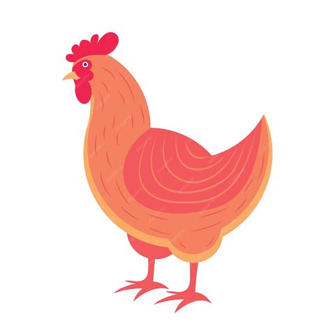 Premium Vector Cute Hen Standing Vector Illustration