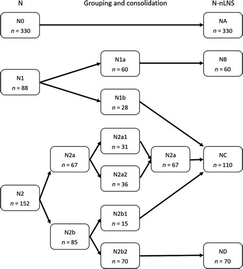 The Procedure Of Grouping And Consolidation Download Scientific Diagram