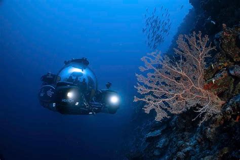 Nekton Mission Reveals Maldives Trapping Zone Dive Magazine