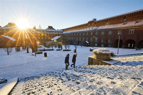 Msc Molecular Techniques In Life Science Kth Sweden