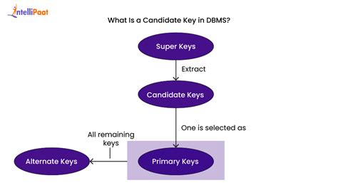Candidate Key In Dbms Types Properties And Best Practices
