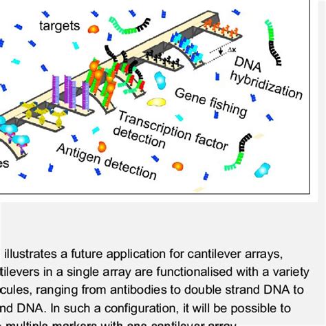 A Principal Component Analysis Plot Showing Three Distinct Clusters