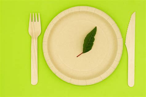 생태 판 포크 나이프 및 유리 친환경 퇴비화 일회용 및 재활용 가능한 재료 제로 플라스틱 지구를 구하고 플라스틱을 멈추십시오 폐기물 재활용 개념 일회용 플라스틱 금지 0에