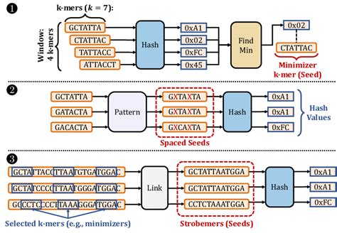 Examples Of Common Seeding Techniques 1 Finding The Minimizer K Mers