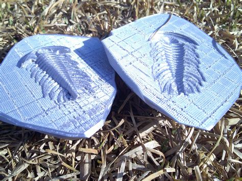 Trilobite Fossil By 3d Print Wizard Makerworld Download Free 3d Models