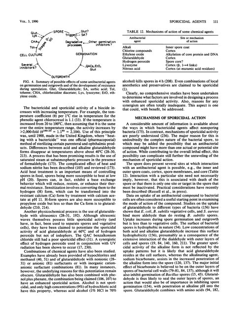 Bacterial Spores And Chemical Sporicidal Agents Pmc