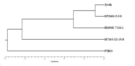 Cluster Diagram Using The UPGMA Method Showing The Relationship Among Download Scientific